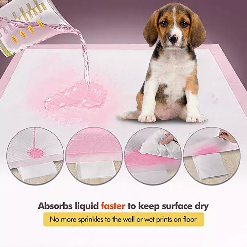 Dog Pee Pads Pet Diaper Puppy Training Pad Poop Urinal Disposable ...
