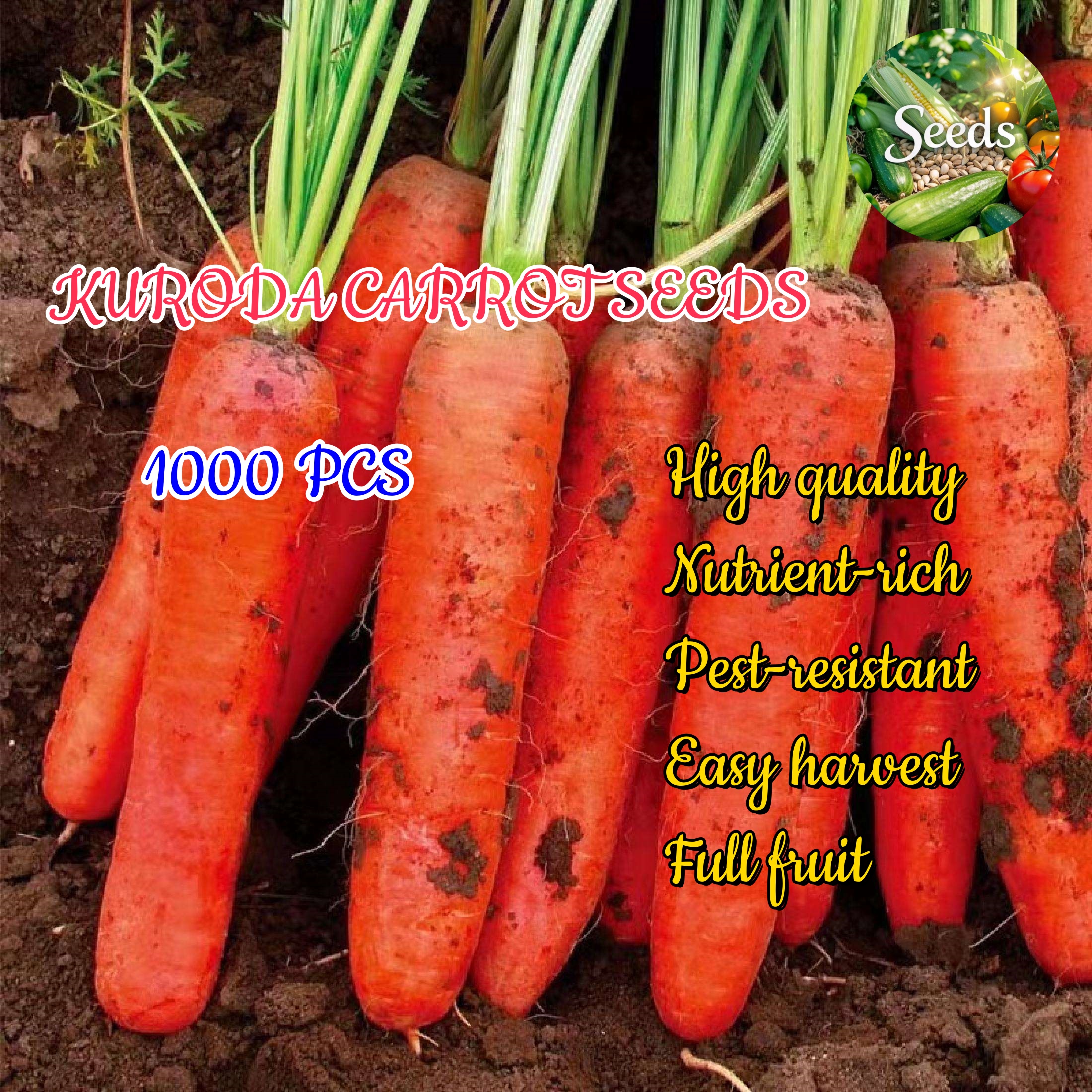 1000seeds/pack KURODA CARROT SEEDS - Carrots Seeds (High Germination ...