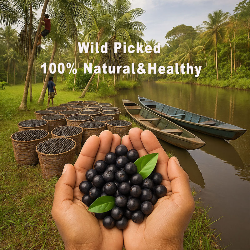 [Buy 1 Get 1]Weekit7 100% Legit Organic Acai Berry Powder Beauty Drink ...