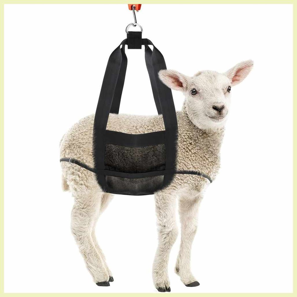 Foldable Hanging Weight Scale Belt with Adjustable Straps for Weighing ...