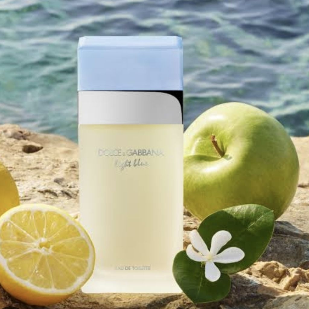 Dolce & Gabbana LIGHT BLUE women Perfume EDT 100ml- IN TESTER BOX ...