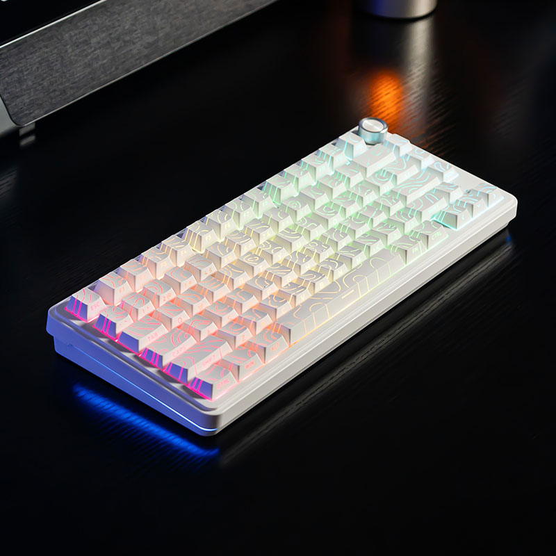 RX75 Pro Wireless Keyboard Wired Gaming Mechanical Keyboards Hot Swap ...