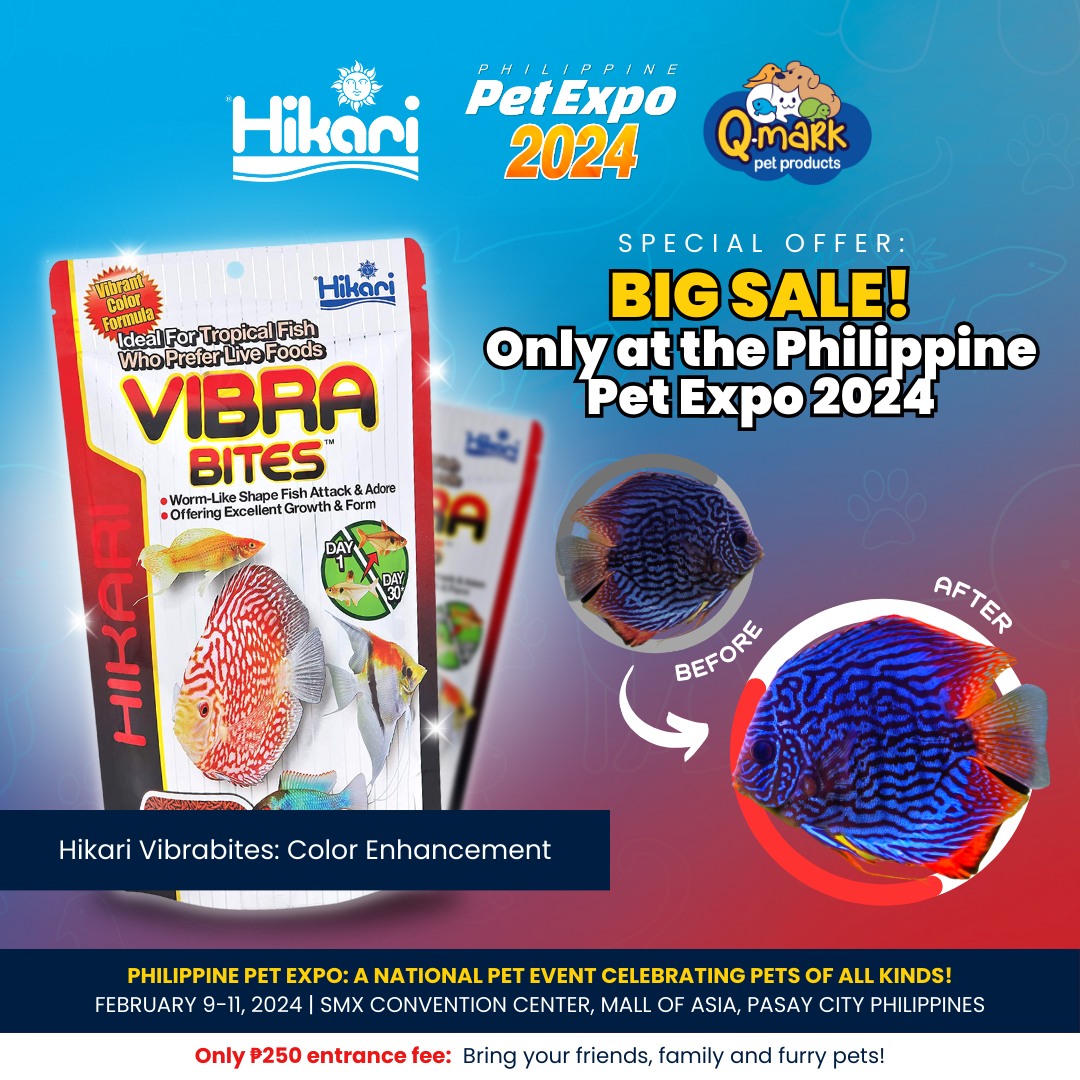 Hikari Tropical Vibra Bites Sinking worm-like stick (Vibrant Color ...