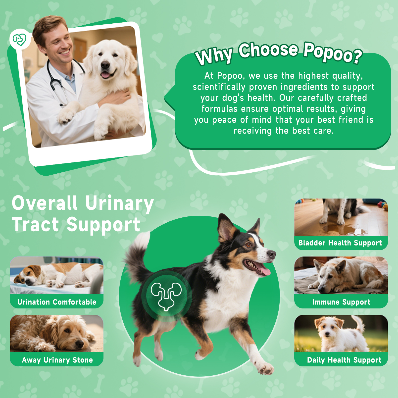 Popoo Dog Urinary Tract Support Softgels,Promotes UT,Bladder & Kidney ...