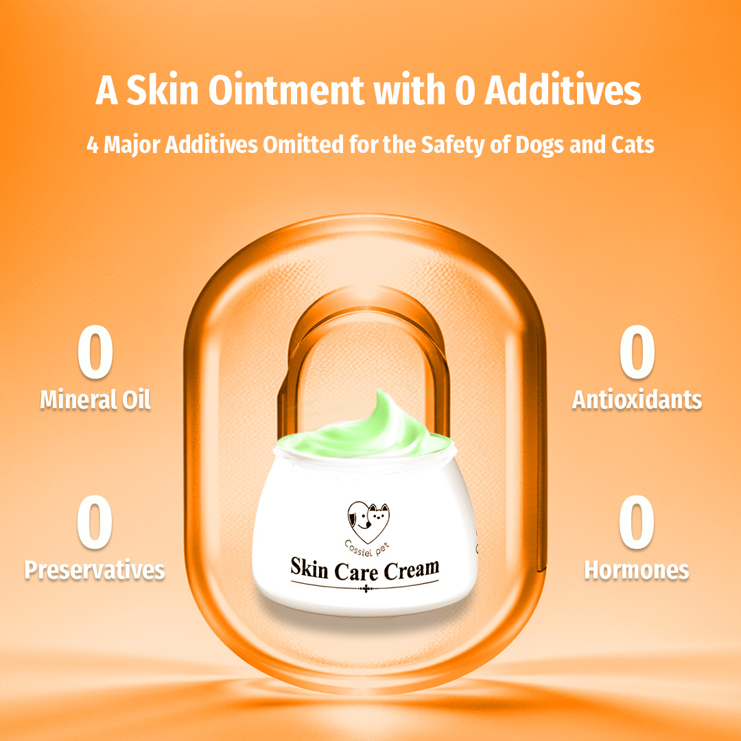 Cassiel Pet Cream Ointment For Ringworm Anti Mange Fungal & Itch Gamot ...