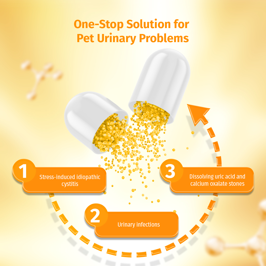 Cassiel Pet Urinary Care For Renal Urine Blood Cystitis Tract Infection ...