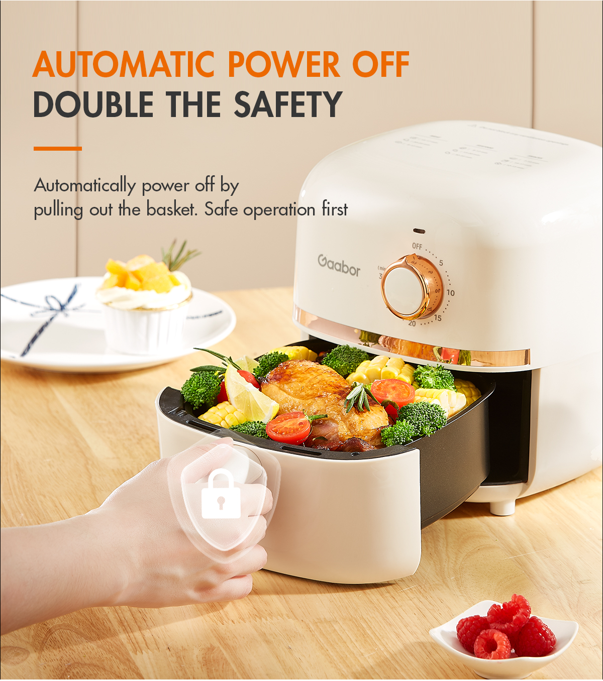 Gaabor Air Fryer Premium Portable Multi-Functional Non-Stick Exquisite ...