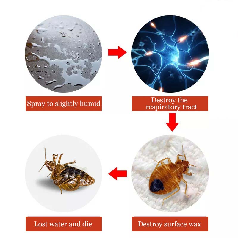 O3O Bed bug killer spray 500ML harmless to human body bedbug surot ...