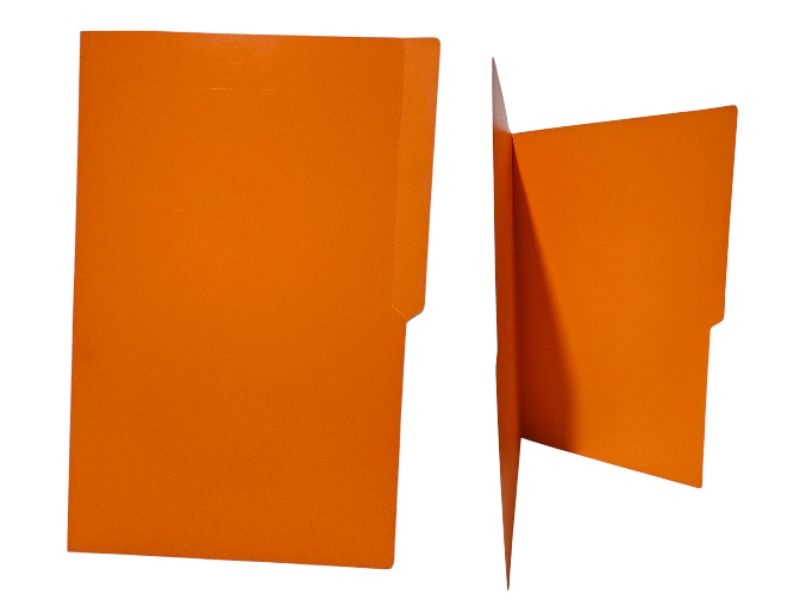 P/x Colored File Folder 11 Pts | Shopee Philippines