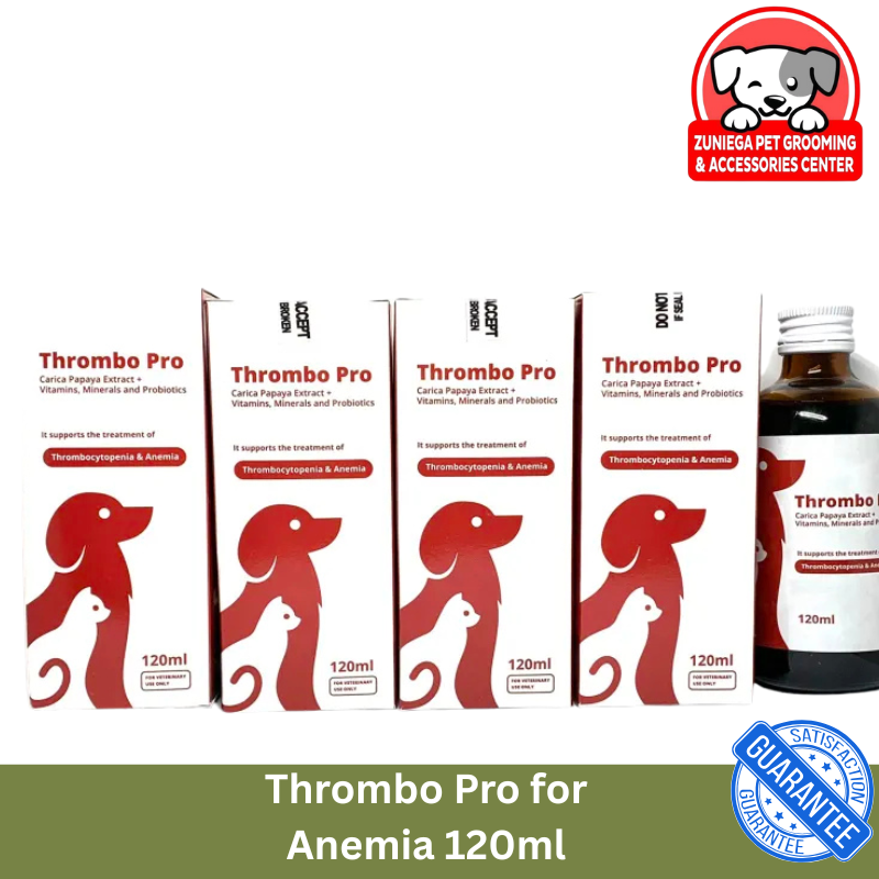 Thrombo Pro for Anemia 120ml | Shopee Philippines