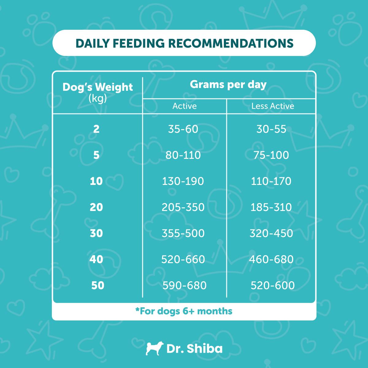 Dr. Shiba's Kind Kibble - High Protein Adult Dog Food- No Salt, Real Beef - Complete Daily ...