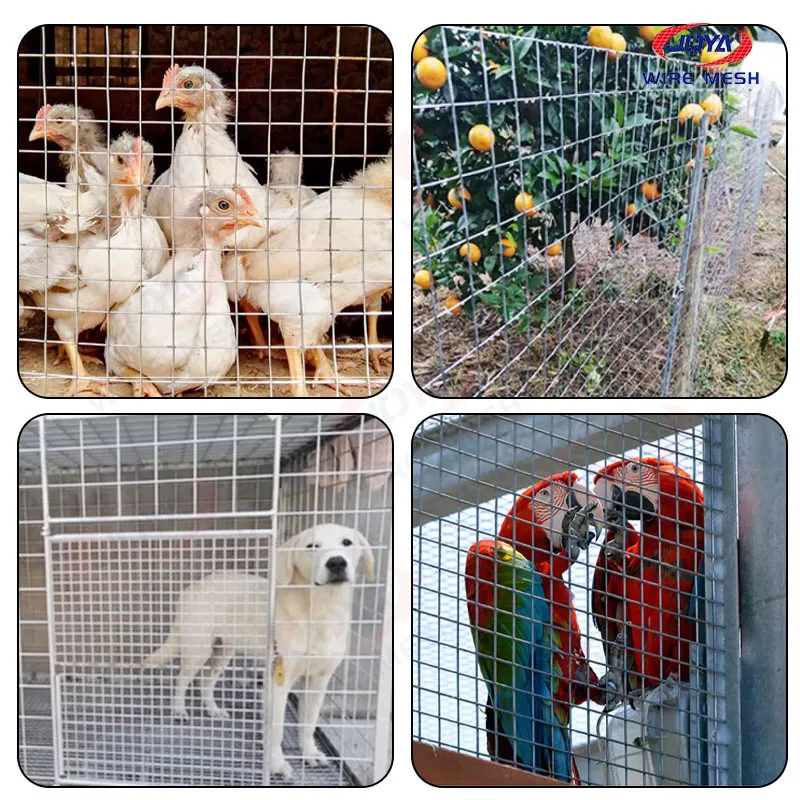 2.5/3.5/4.5MM Galvanized Welded Wire Mesh Steel Matting for Dog Bird ...