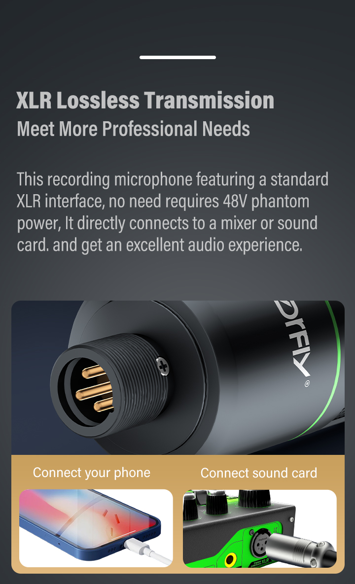 KOORFLY 48V XLR Condenser Microphone ZX320 Professional Cardioid Studio ...