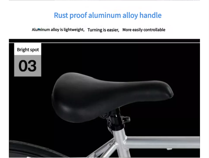 Luanda Fixie Bike Road Bike Steel Bike Adult Bicycle 700*23C | Shopee ...