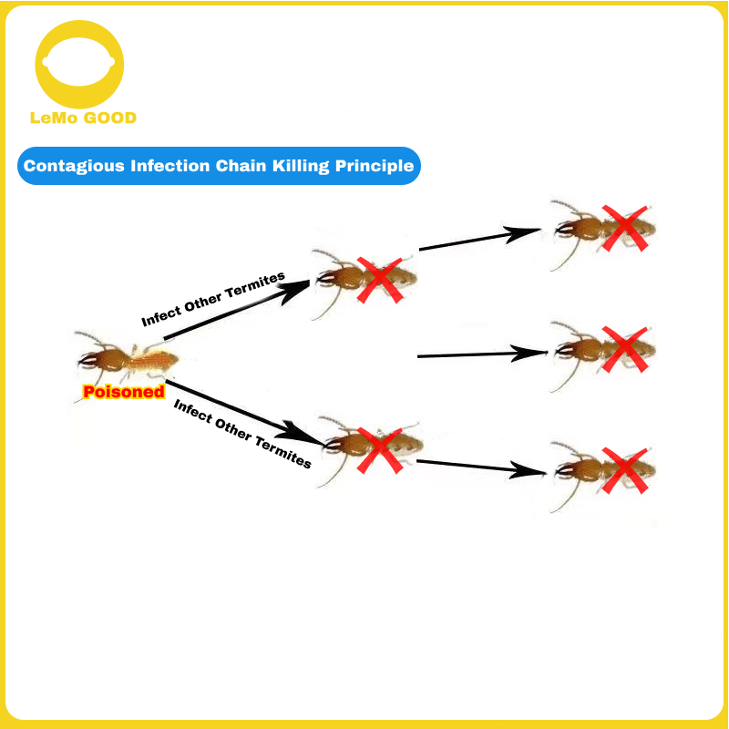 Anay termite killer ant medicine, termite killer powder gel killing ...