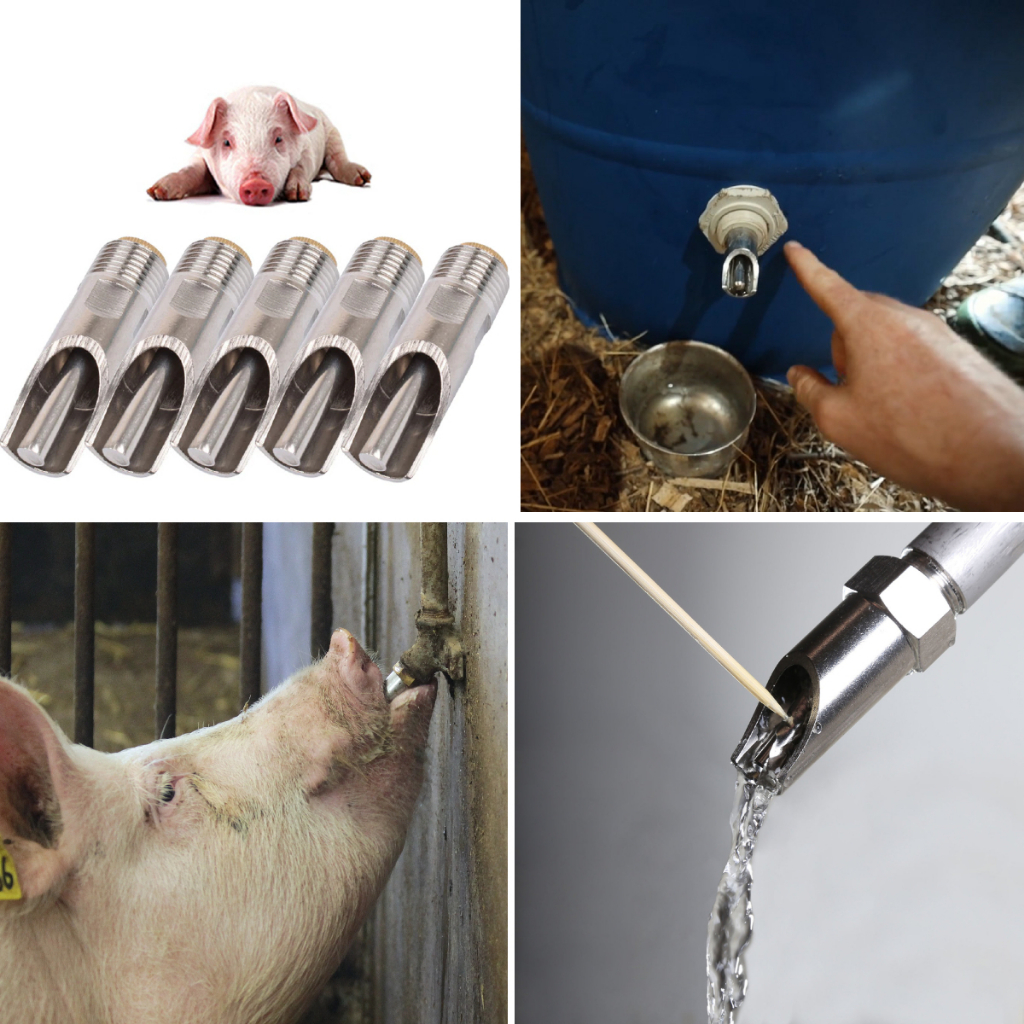 Pig Drinker Stainless Heavy Duty Nipple Drinker For Piglet Inuman Ng ...