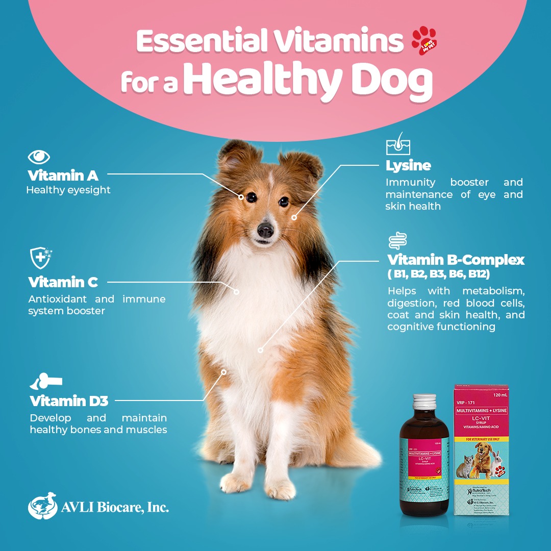 LC Vit Multivitamins Syrup for dogs and cats (120ml) | Shopee Philippines