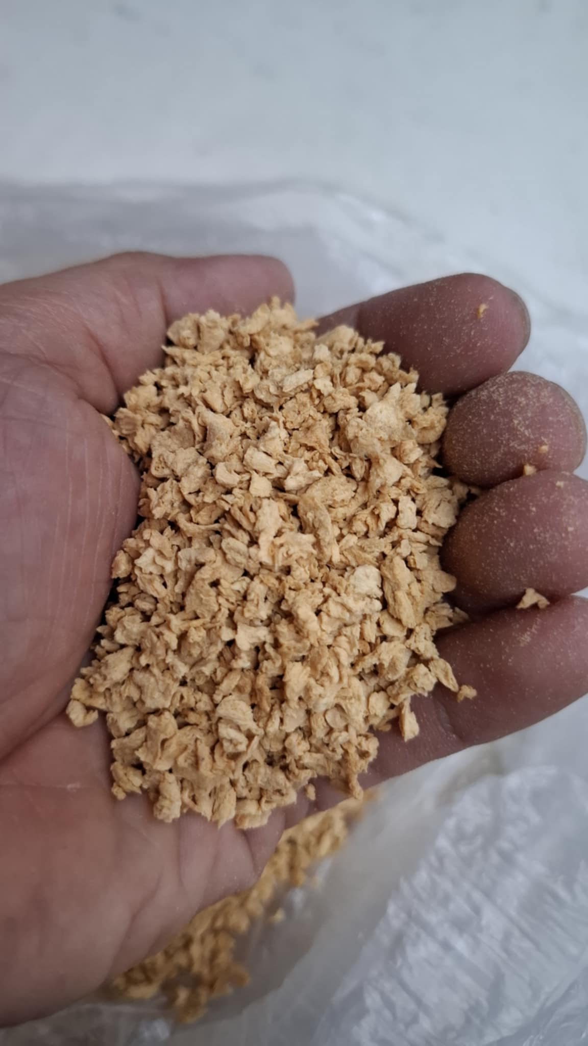 Textured Vegetable Protein( TVP / TSP) 1KG Granules | Shopee Philippines