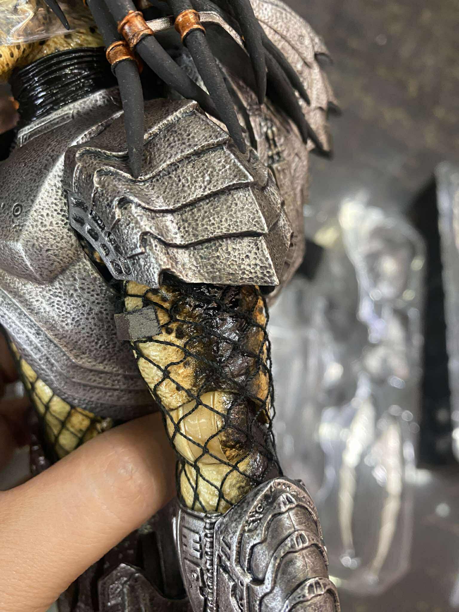 (R&G) Hot Toys Alien Vs Predator Celtic Predator 1/6 Scale Figure ...