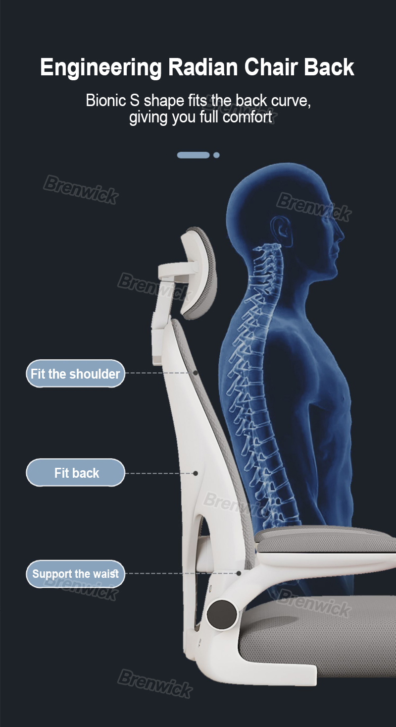 Ergonomics Chair Office Chair Computer Chair Conference Chair Gaming ...