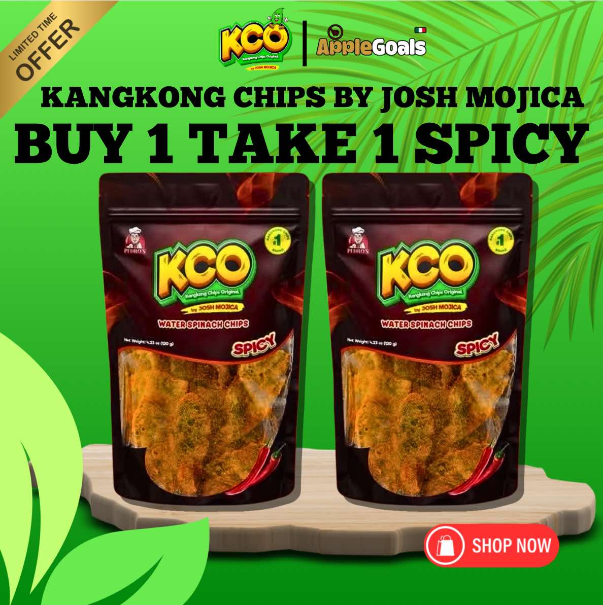 BUY 1 TAKE 1 KANGKONG CHIPS BY JOSH MOJICA "SPICY FLAVOR" Spinach ...