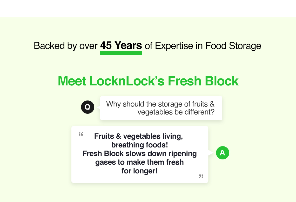 LocknLock Fresh Block Container 11pc Mega Set | Shopee Philippines