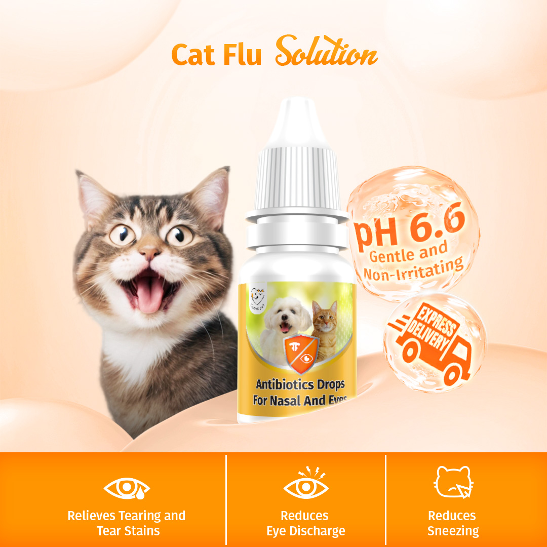 Cassiel Pet Nasal & Eye Antibiotic Drops For Runny Nose Cloudy Eyes ...