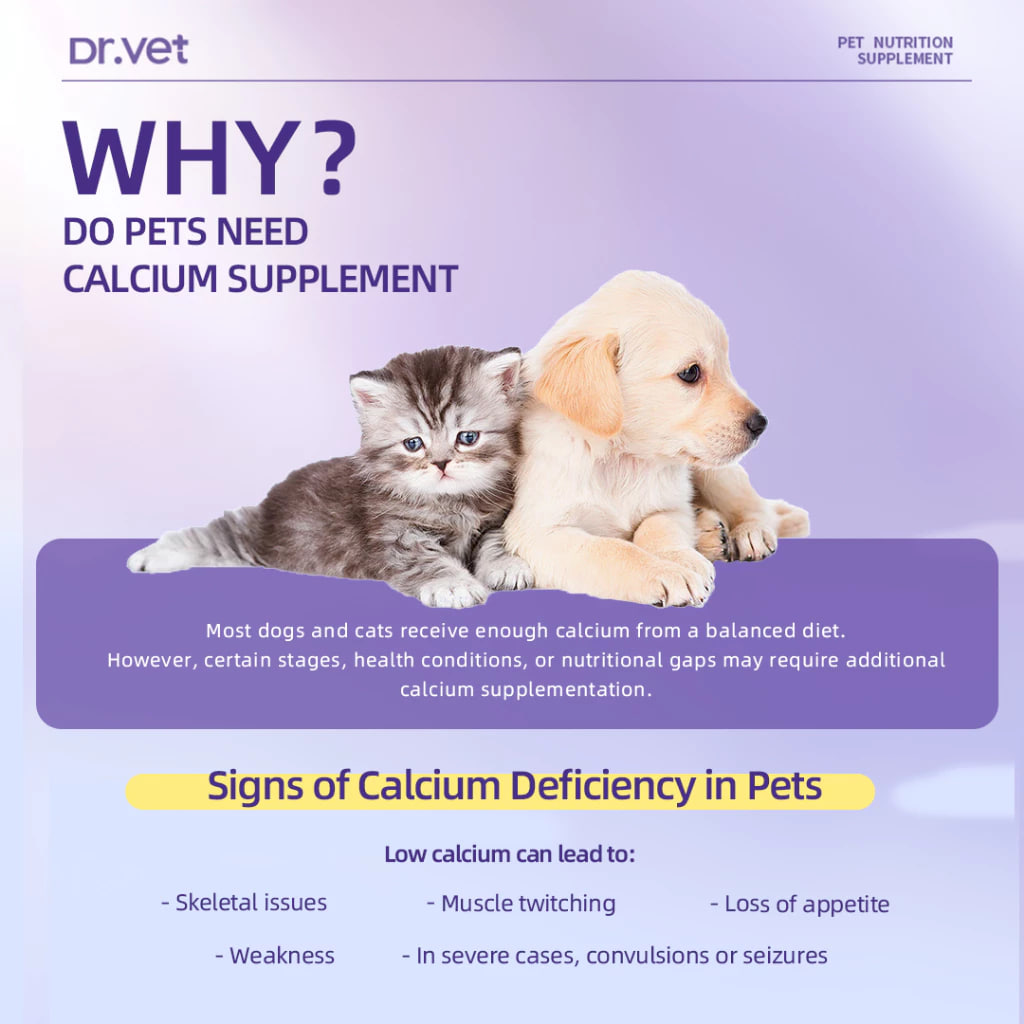 DR. VET Calcium Tablets For Cats And Dogs (200 Tablets) | Shopee ...