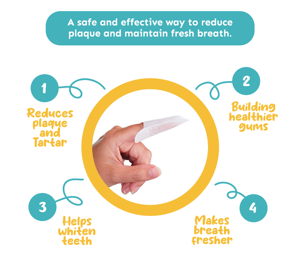 Petsup Dog Pet Care Bundle 1pc Pet Deodorizer 500ml + 2pcs Deodorizer ...