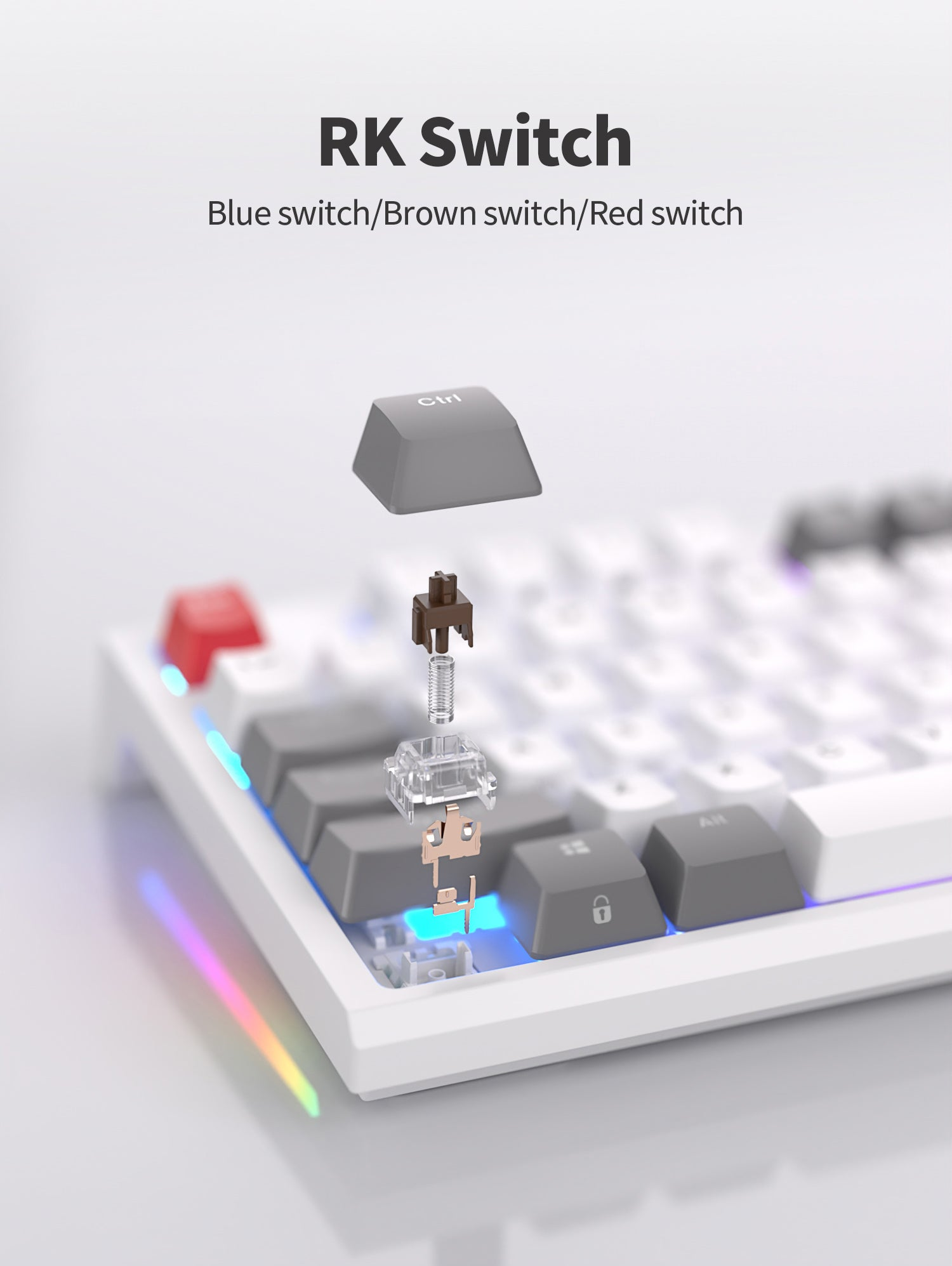 Royal Kludge RK-R87 Single-Mode RGB 87 Keys Hot Swappable Mechanical ...