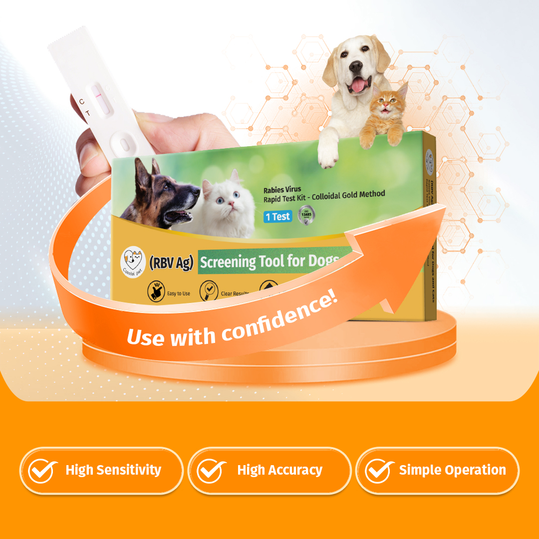 Cassiel Pet Test Kit RBV Test Paper Rabies Virus Rapid Test For RABIES ...