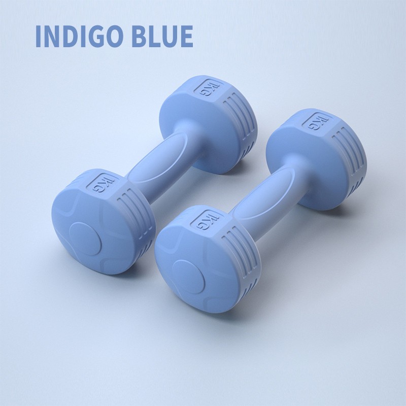 2PCS Dumbbell Set For Women 0.5KG/1KG/2KG Home Dumbell/Kettlebell ...