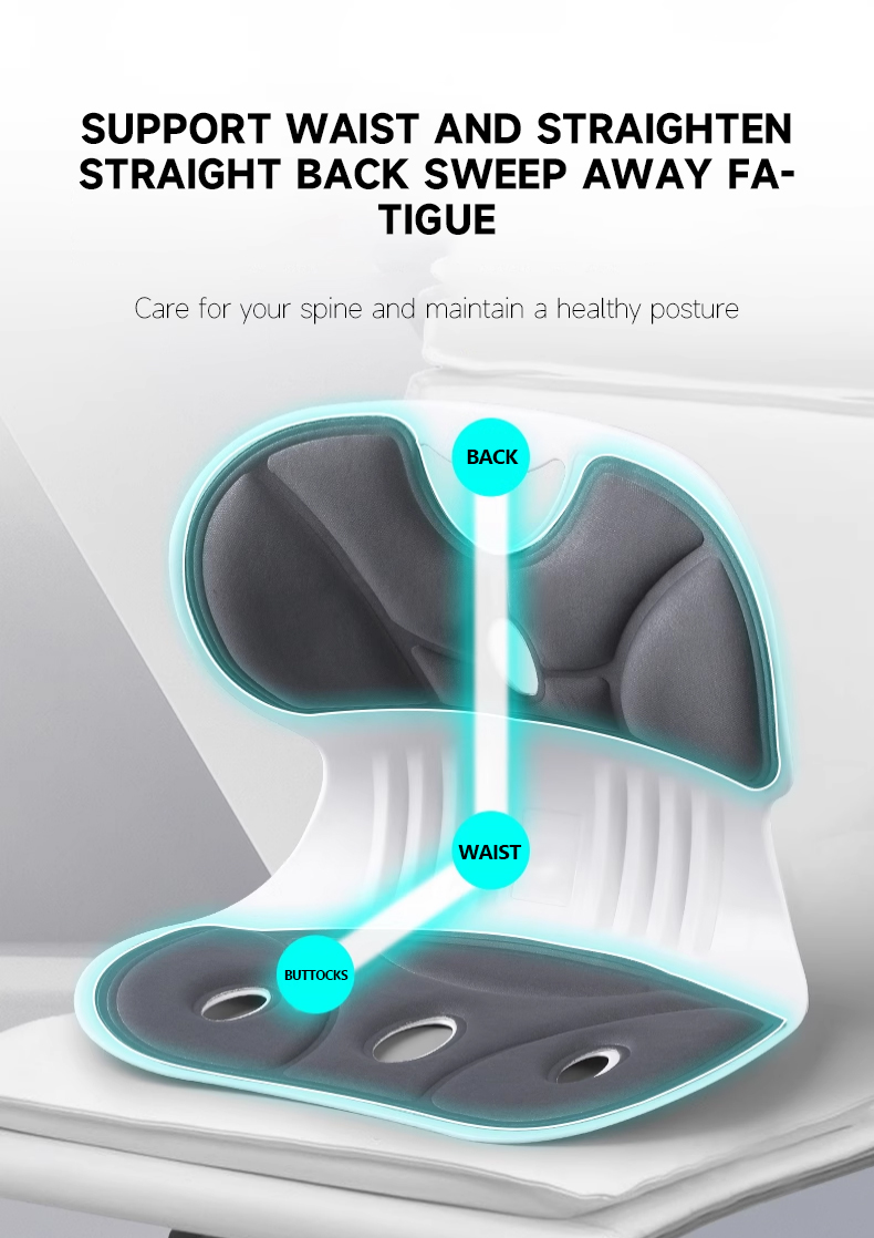 Oivia Posture Corrector Chair Back Support For Chair Cushion Curable ...