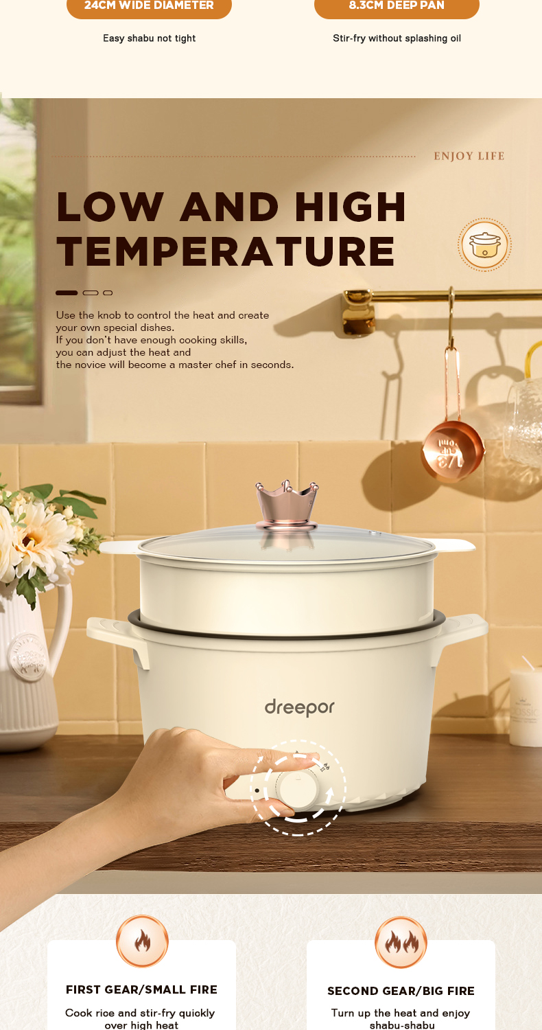Dreepor Multifunctional Electric Cooker With Steamer Rice Cooker Hot ...