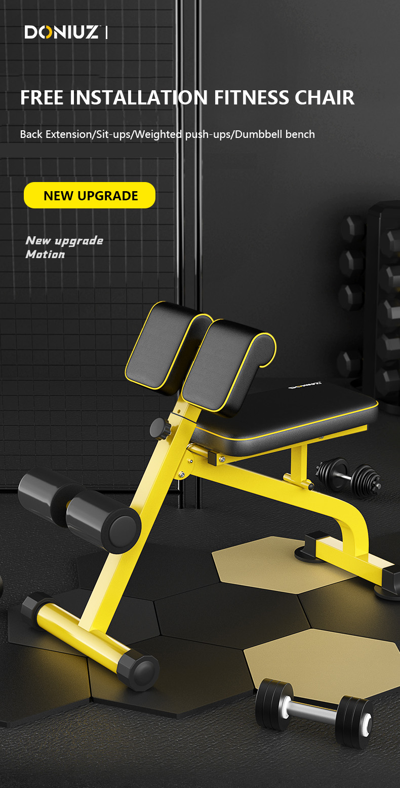 DONIUZ Household Dumbbell Bench Roman Chair Back Hyperextension ...