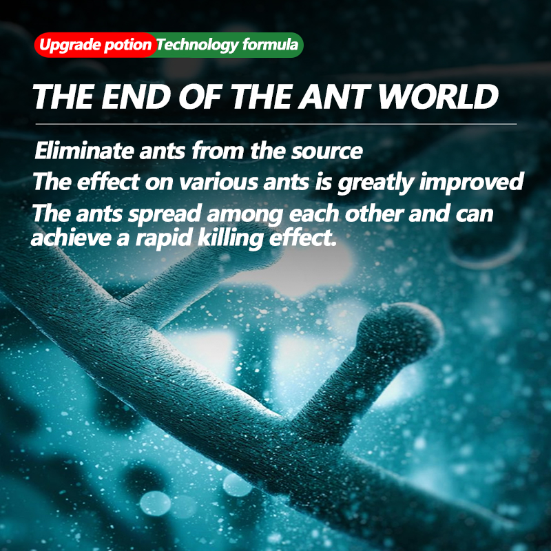 Ant bait ant killer 5-Tablet Box Ant repellent for home Ant bait Anti ...