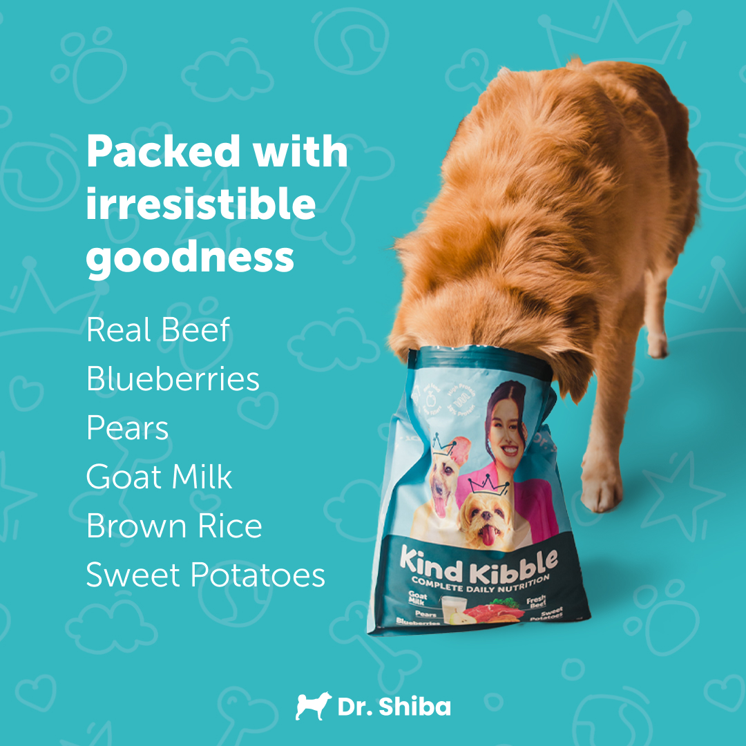 Dr. Shiba's Kind Kibble (8kg) - High Protein Adult Dog Food- No Salt, Real Beef- Complete ...