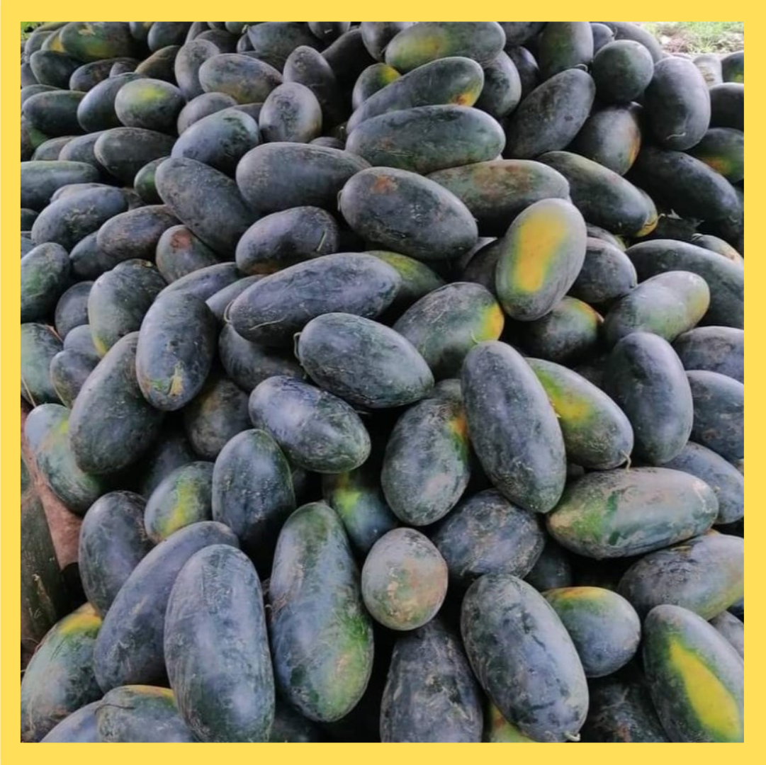 Seeds of Hope - 50 grams Watermelon - Big Packing - Harbest In The City ...