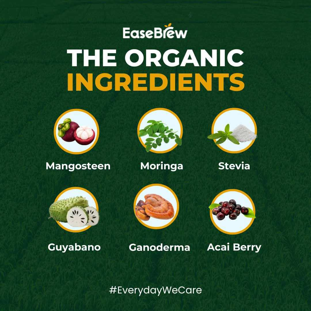 EaseBrew Herbal Coffee ( 1 box ) | Shopee Philippines