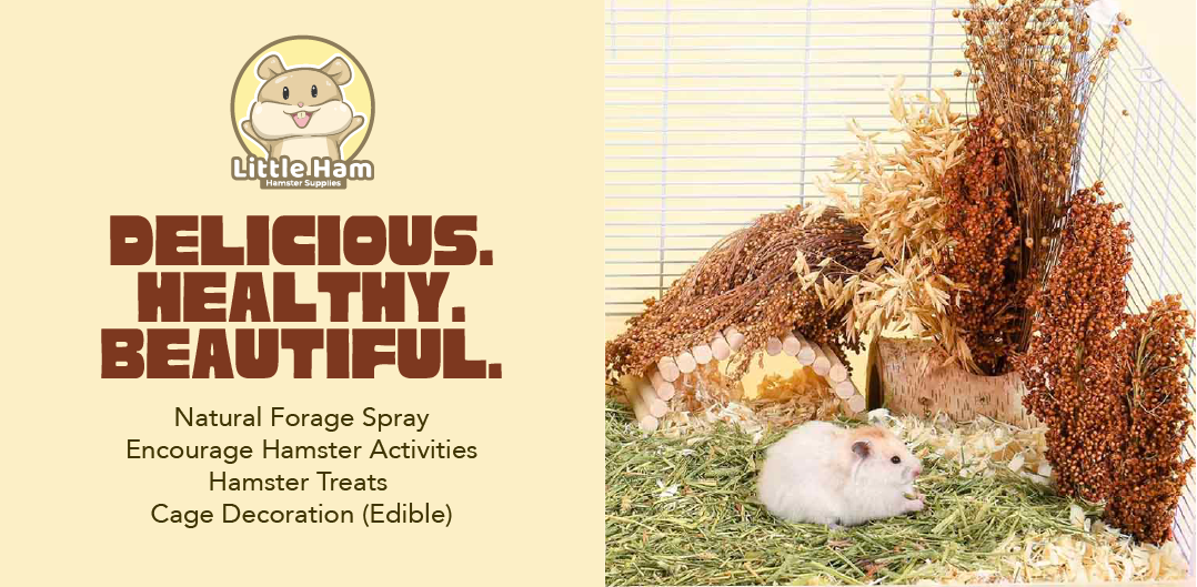 Flax Spray Hamster Treats 15g | Shopee Philippines