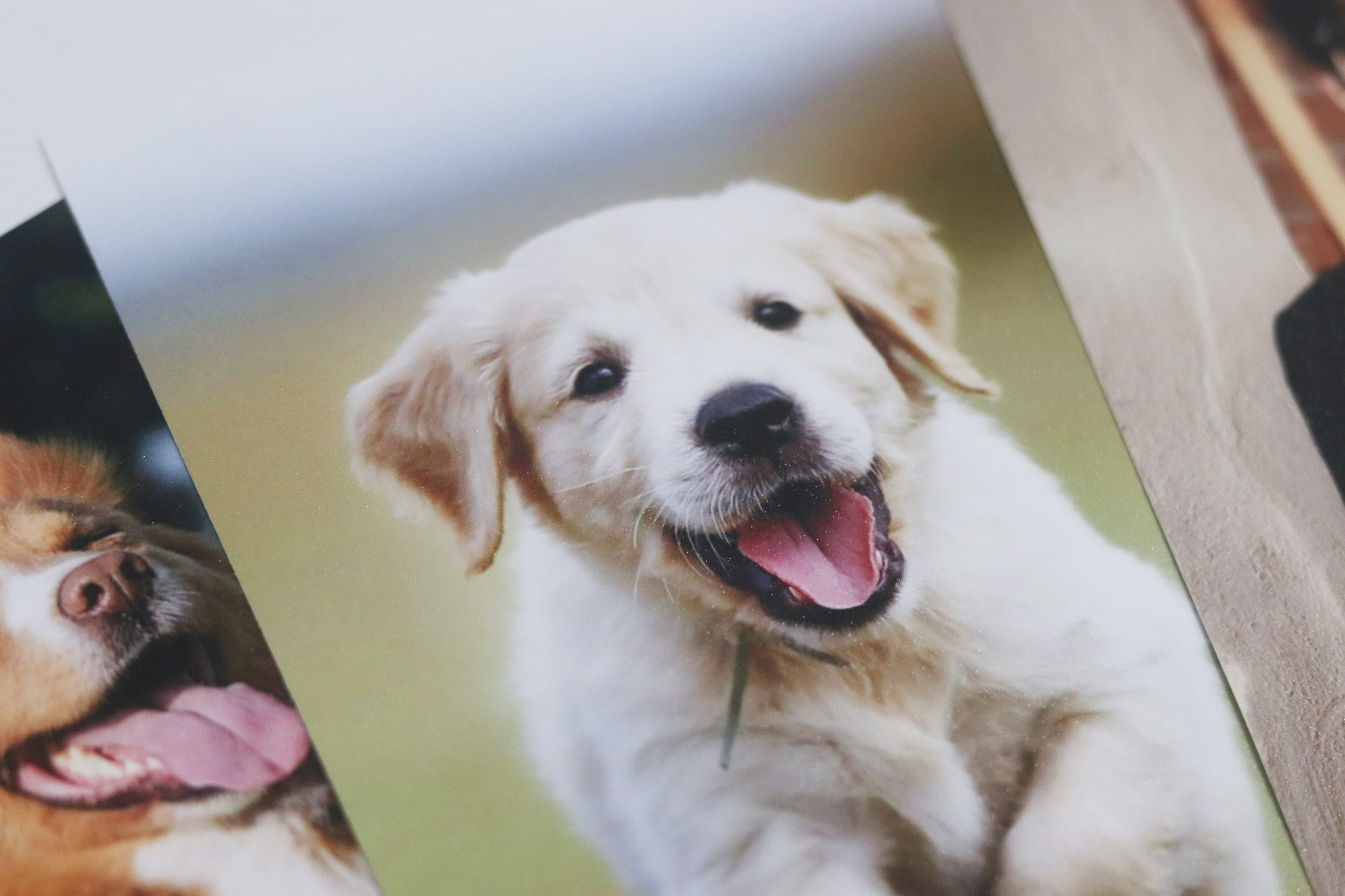 Premium Photo Printing Service: 3R/4R/5R Sizes | Shopee Philippines