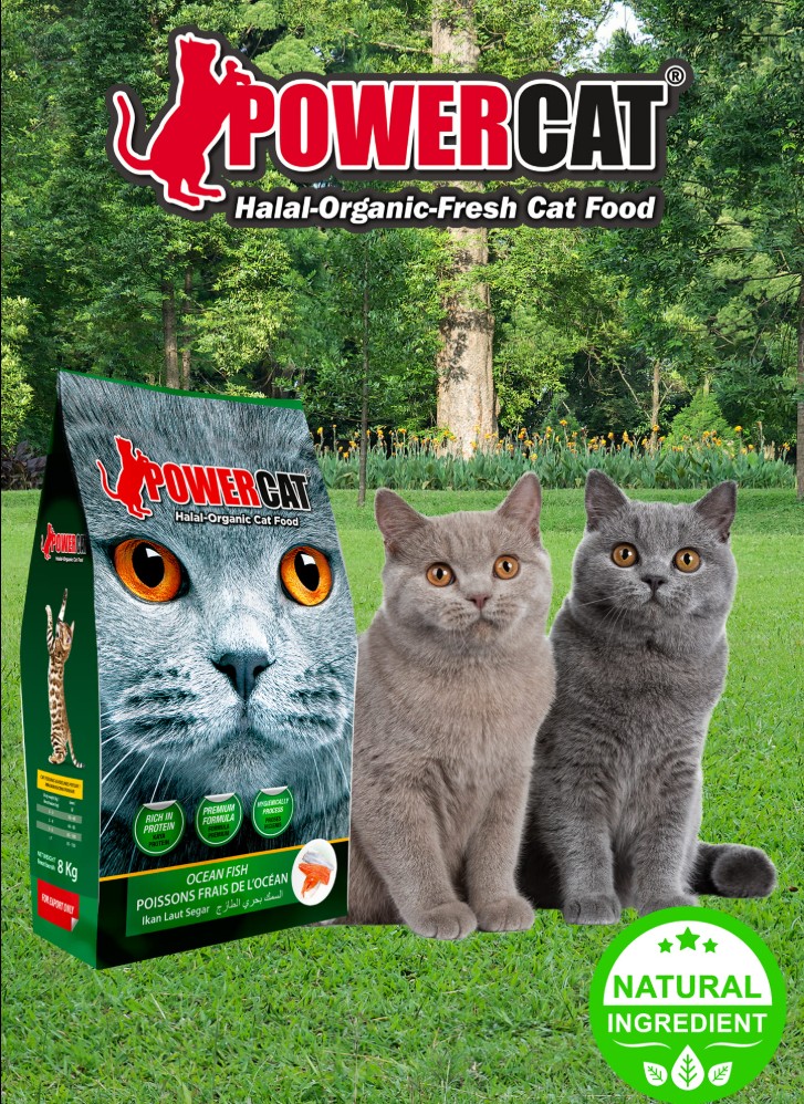 Powercat FRESH OCEAN FISH Adult Cat Food 1 KG REPACKED ~ GREEN | Shopee ...