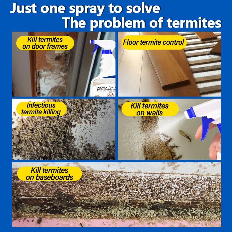 Termite killer spray 500ml anay killer spray odorless termite spray for ...
