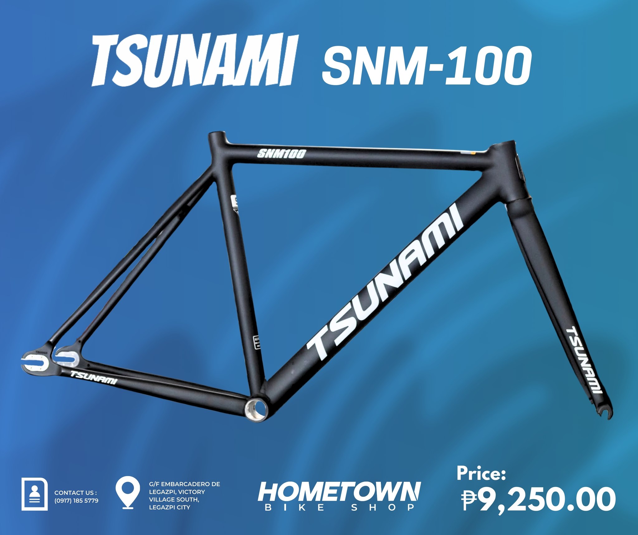 Tsunami SNM100 Alloy Fixie Frame | Shopee Philippines