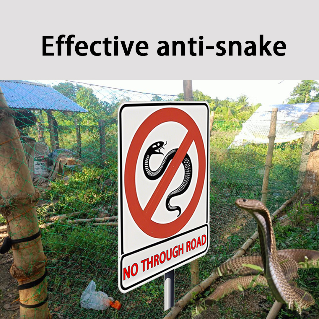 【Free rope】Chicken Net 100 Meters 8ft Net For Chicken Lambat Fishing ...