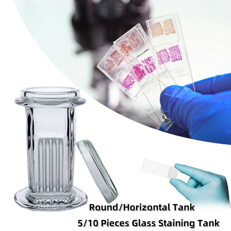 5/10 Piece Set Glass Staining Cylinder Glass Slide Staining Rack Round ...