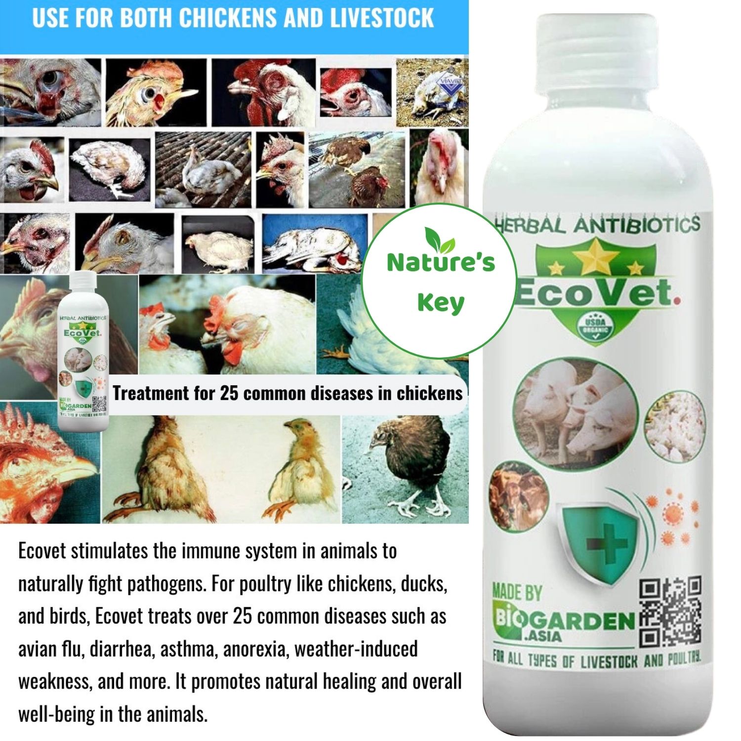 [Big Save] Ecovet 250g - Probiotic Supplement Powder,Mahahalagang ...