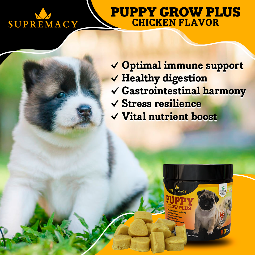 Supremacy Puppy Grow Plus Puppy & Dogs Treats Digestive Health Immune ...