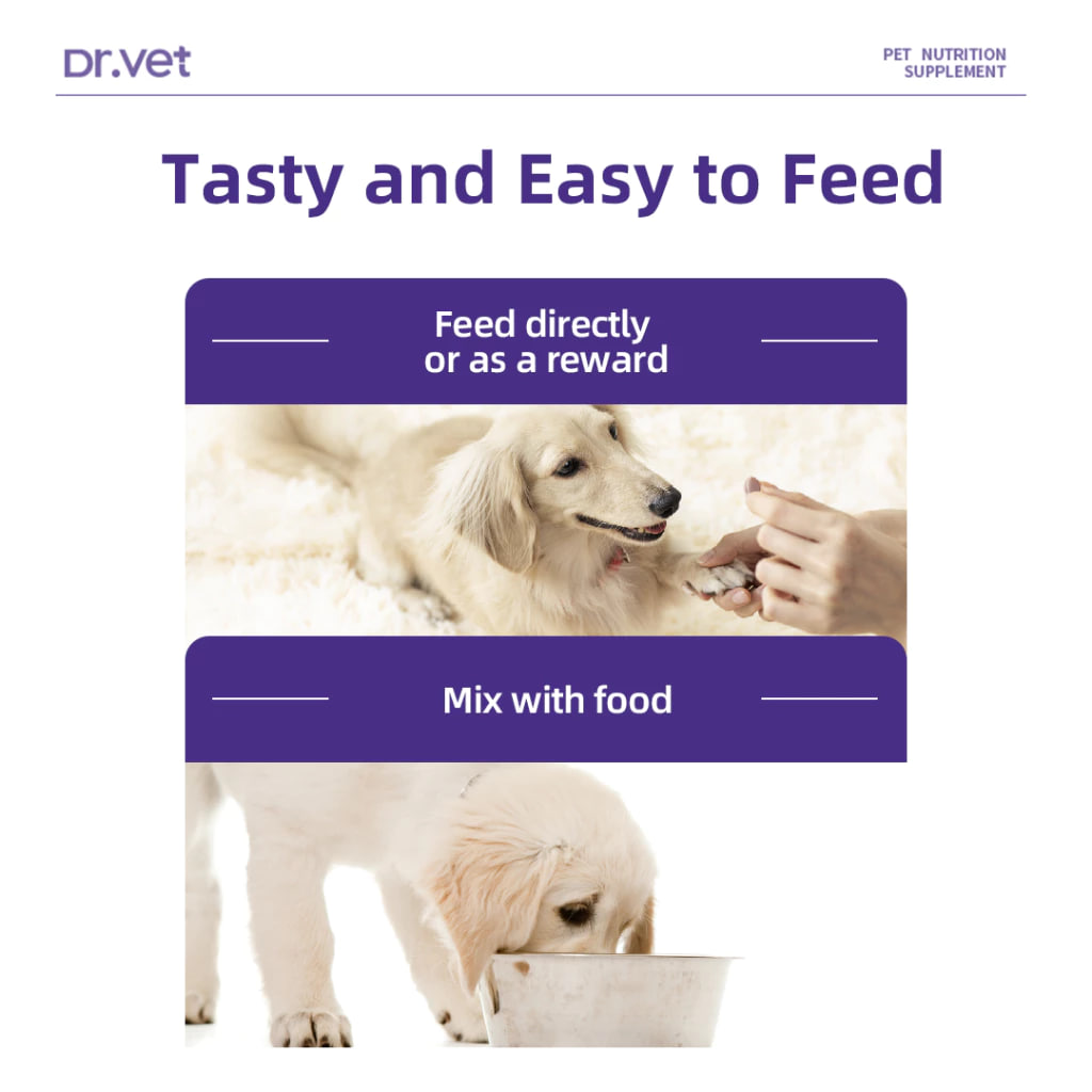 DR. VET Calcium Tablets For Cats And Dogs (200 Tablets) | Shopee ...