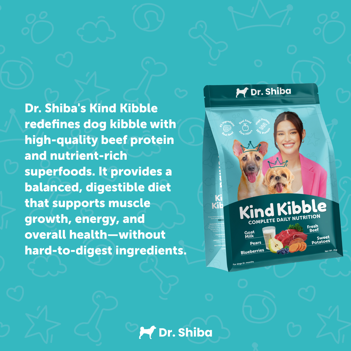 Dr. Shiba's Kind Kibble & Salmon Oil Bundle - Daily Dog Food - Complete Daily Nutrition | Shopee ...